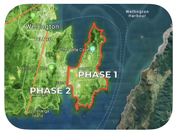 Miramar Peninsula (Phase 1) • Predator Free Wellington