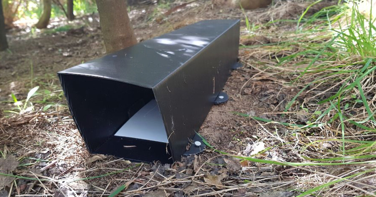 Tracking tunnels and prints • Predator Free Wellington